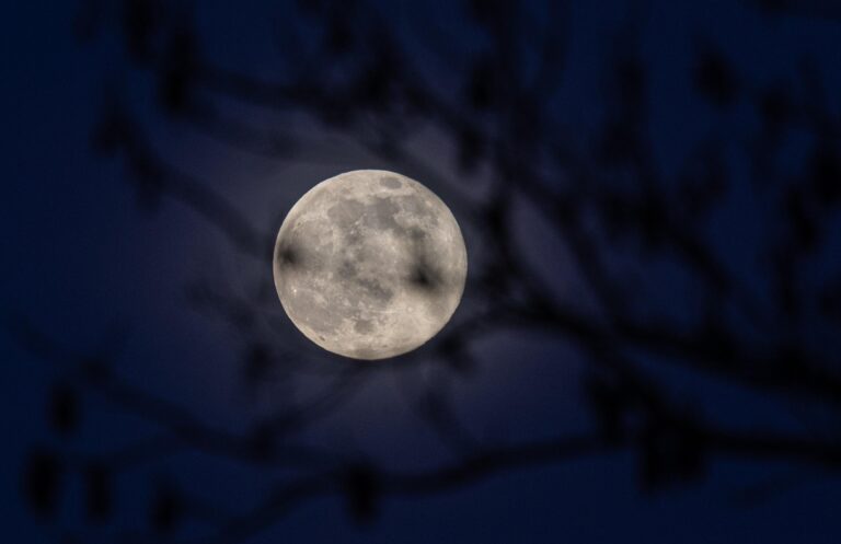 February Full Moon 2025: Date, Time, Meaning & How to See It - Black ...