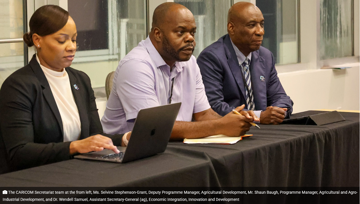 CARICOM And Argentina Discuss Areas For Partnership On Food Security ...